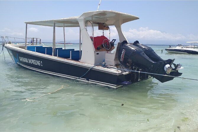 From Bali One Day Nusa Penida Tours with Manta Rays Snorkeling - What to Expect from the Tour: A Closer Look