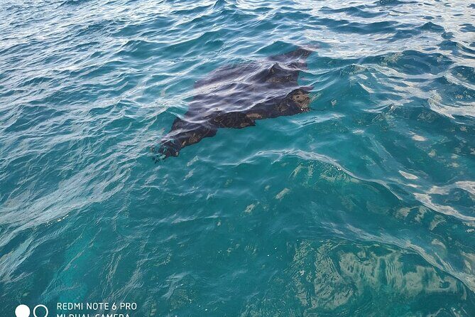 From Bali One Day Nusa Penida Tours with Manta Rays Snorkeling - FAQs