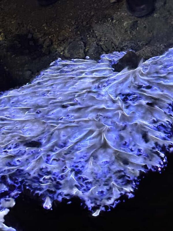 From Bali or Banyuwangi, Marvel at the Ijen Crater Sunrise - Value and Pricing