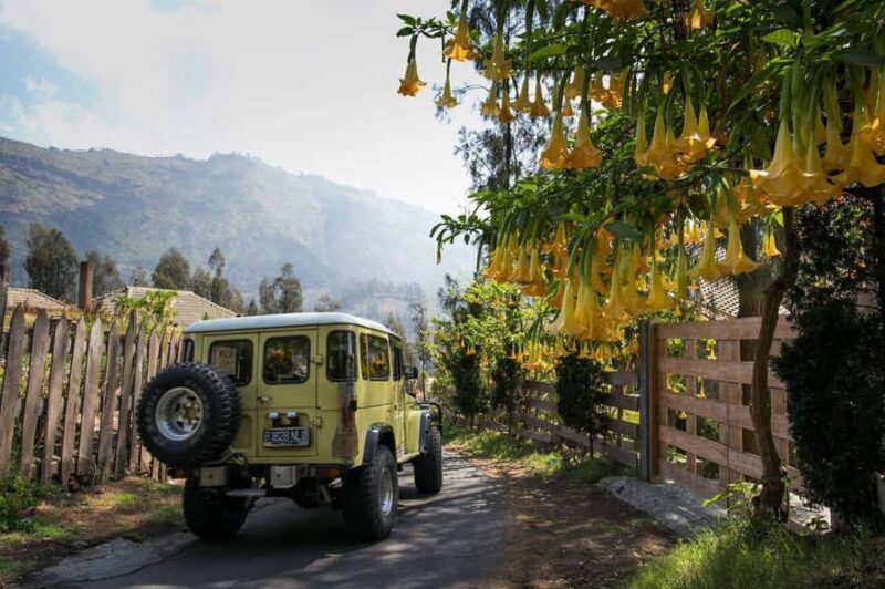 From Bali or Java: Bromo & Kawah Ijen  3-Day Adventure - Key Points