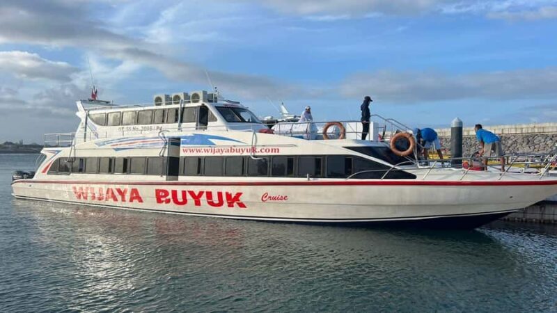 From Bali: Private East Nusa Penida Highlights Day Tour - Who Would Love This Tour?