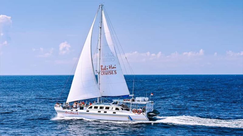 FROM BALI: SAIL, SNORKEL & MANGROVE TOURS TO NUSA LEMBONGAN - An In-Depth Look at the Itinerary and Experience