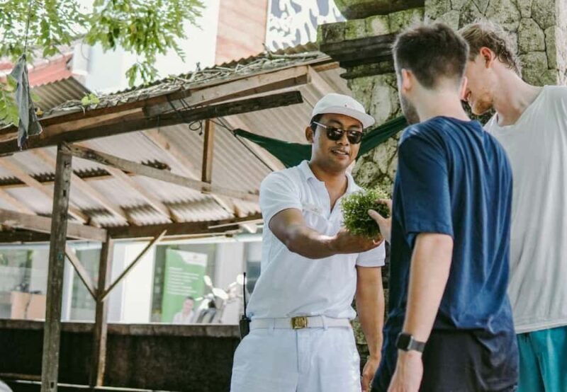 FROM BALI: SAIL, SNORKEL & MANGROVE TOURS TO NUSA LEMBONGAN - FAQ