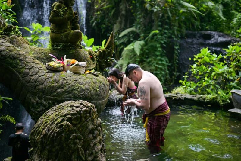 From Bali: Taman Beji Griya Waterfall Ritual & Transfer - Transportation and Logistical Details