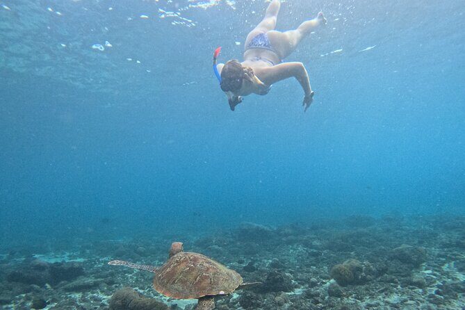 From Bali West Nusa Penida Tour and Private Snorkeling - Frequently Asked Questions