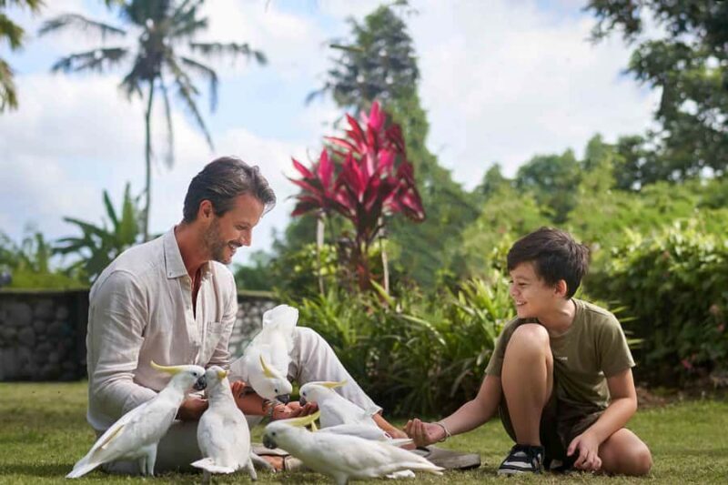 From Bali: Zoo Breakfast with Orangutans & Elephant Bath - The Sum Up