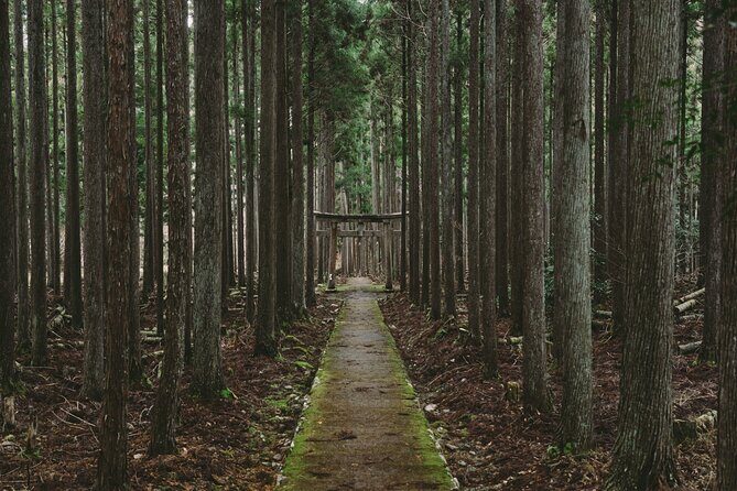 From Bamboo to Hidden Shrines: Kyotos Private Escape Tour by Car - Key Points