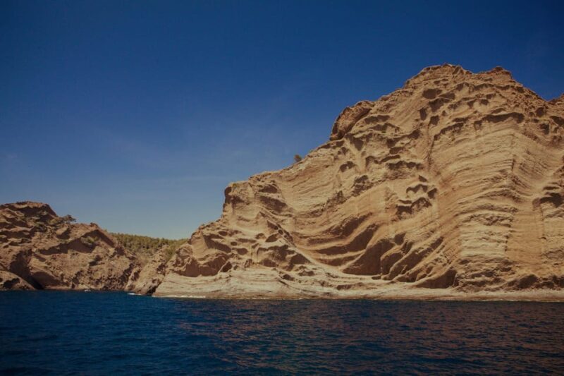 From Bandol: Visit the 13 calanques of Cassis & Marseille - Key Points