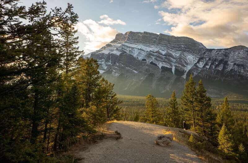From Banff: Banff Wildlife & Scenic Highlights Premium Tour - Important Practical Information