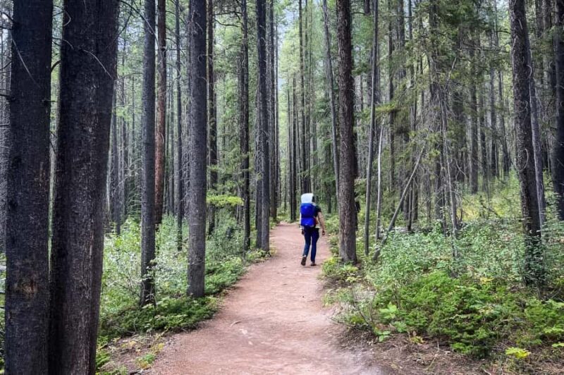 From Banff: Grassi Lake and Grotto Canyon Half day tour - Key Points