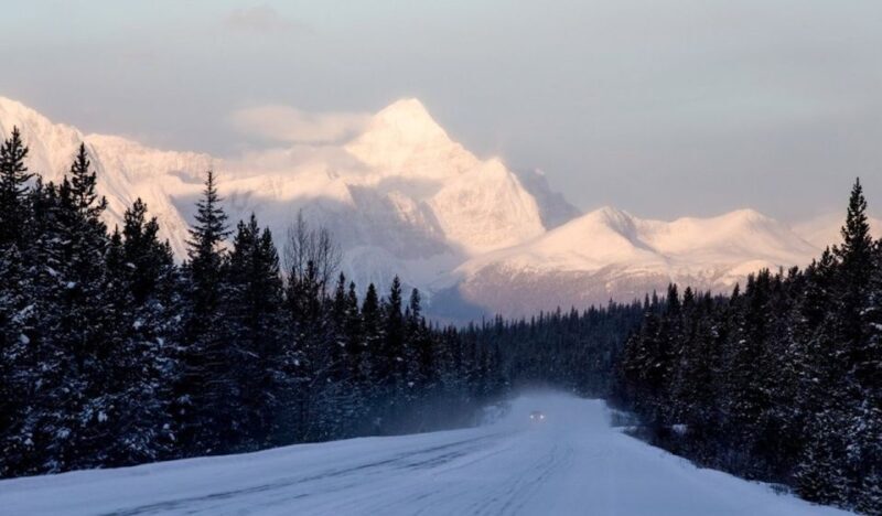 From Banff: Icefields Parkway & Abraham Lake Ice Bubbles - Real Travelers’ Insights: Highlights and Considerations