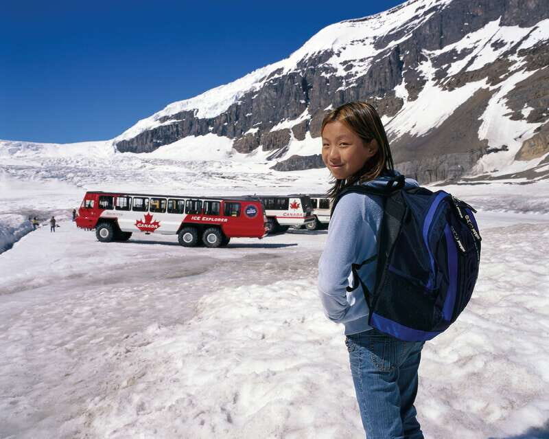 From Banff/Lake Louise: 1-Way Sightseeing Tour to Jasper - The Itinerary: A Day Packed With Highlights