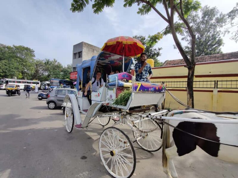 From Bangalore : Mysore Sightseeing full day tour - The Itinerary Breakdown