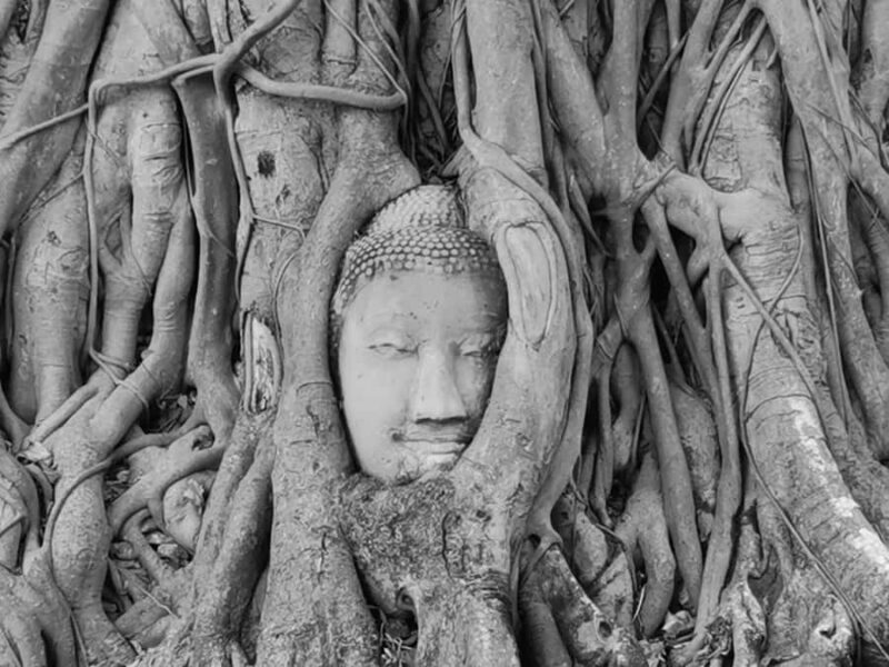 From Bangkok: Ayutthaya Day Trip with Transport - In The Sum Up