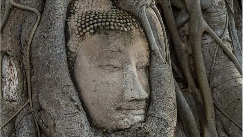 From Bangkok: Ayutthaya Must-Visit Temples with Café - The Sum Up: A Solid Choice for a Cultural Day Trip