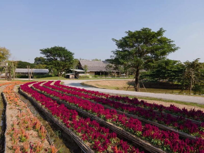 From Bangkok: Ayutthaya Temples & Gallery Boathouse Tour - Introduction