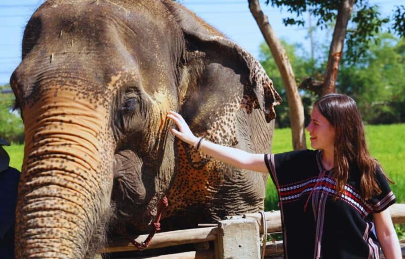 From Bangkok: Elephant Park Tour with Feeding & Mud Spa - An honest look at the itinerary and experience