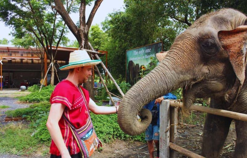 From Bangkok: Elephant Park Tour with Feeding & Mud Spa - Who will love this tour?