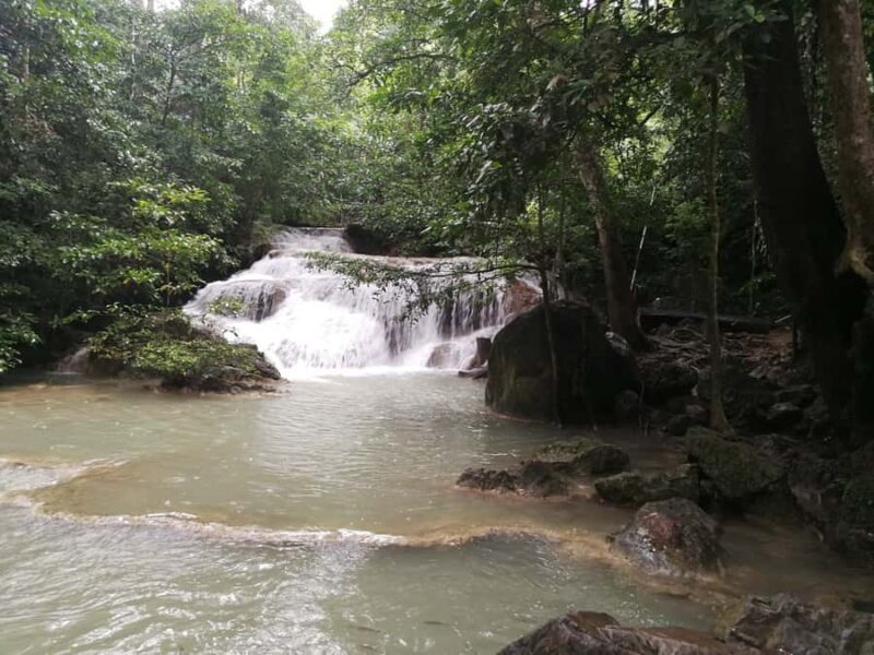 From Bangkok: Erawan Park & Elephant Feeding Private Tour - Practical Tips for Participants