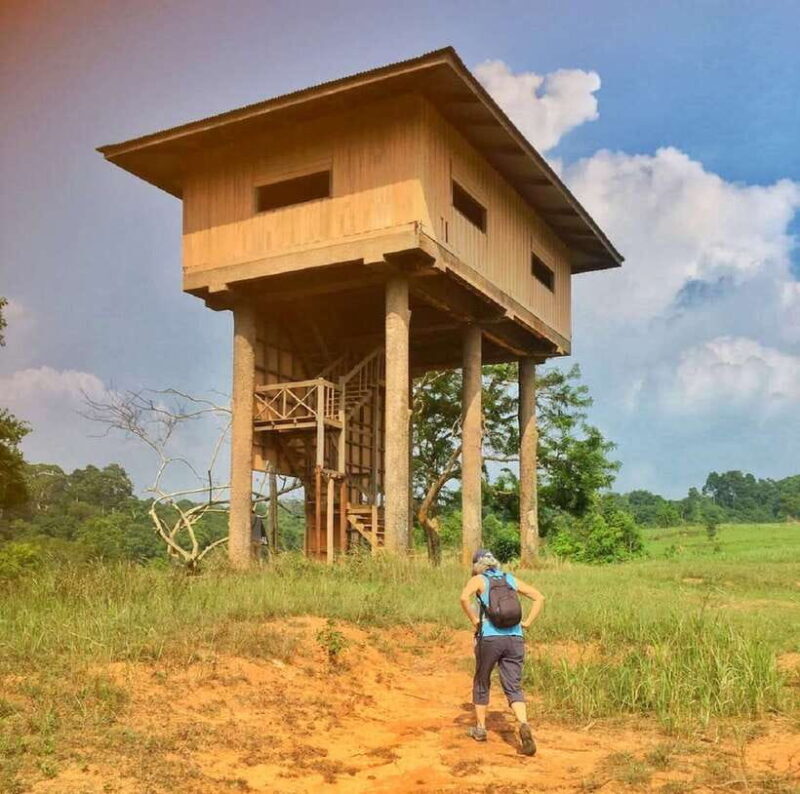 From Bangkok: Khao Yai National Park Small-Group Day Trip - Key Points