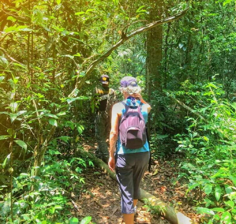 From Bangkok: Khao Yai National Park Small-Group Day Trip - Authenticity and Eco-Friendly Focus