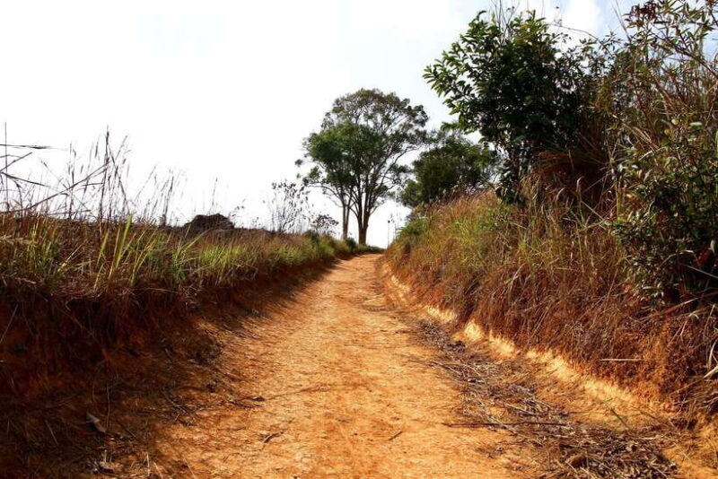 From Bangkok: Khao Yai National Park Small-Group Day Trip - Who Should Consider This Tour?