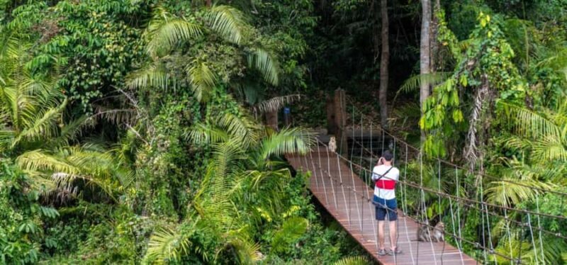 From Bangkok: Khao Yai Private Charter with Multiple Options - An Honest Look at the Private Khao Yai Tour