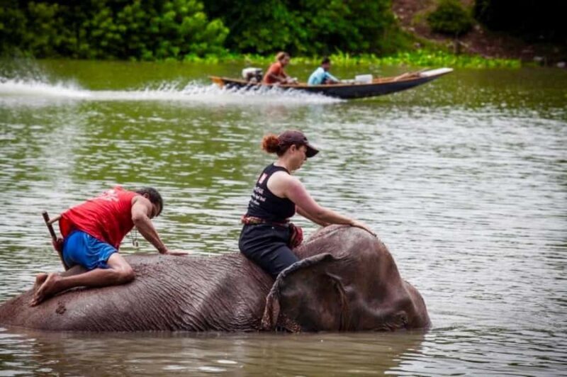 From Bangkok: Private Guided Ayutthaya Day Tour - FAQ