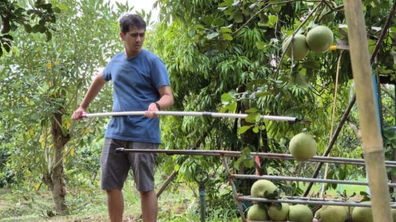 From Bangkok: Taste and Tune of Samut Songkhram Private Tour - An In-Depth Look at the Tour Experience