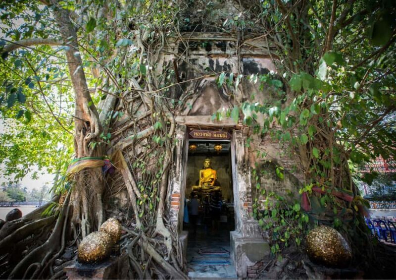 From Bangkok: Taste and Tune of Samut Songkhram Private Tour - Who Will Love This Tour?