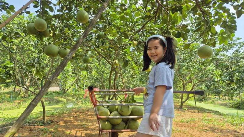 From Bangkok: Taste and Tune of Samut Songkhram Private Tour - Practical Tips for Making the Most of Your Day