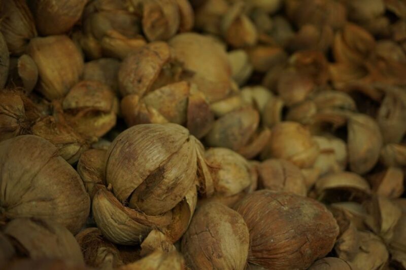 From Bangkok: Thaka Floating Market - From Bangkok: Thaka Floating Market – A Genuine Thai Experience