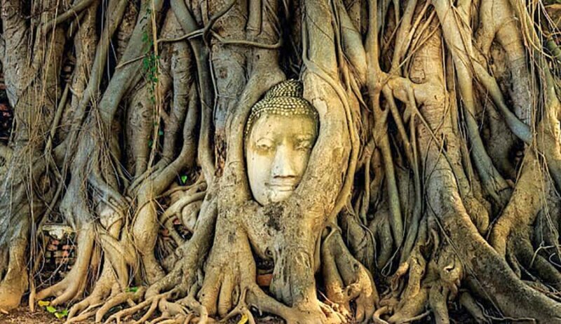 From Bangkok: Tour Ayutthaya + Lunch + Spanish guide - FAQs