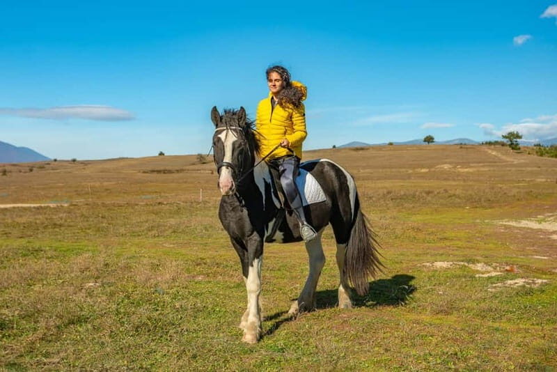 From Bansko: Horse Riding Experience - The Experience in Detail: What to Expect