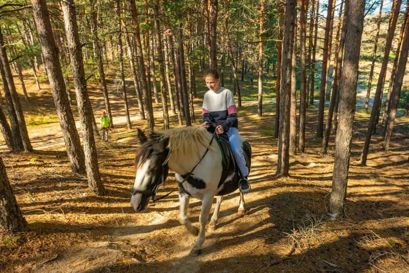 From Bansko: Horse Riding Experience - Final Thoughts
