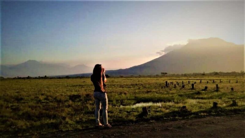 From Banyuwangi ; Baluran National Park & Snorkeling - Key Points