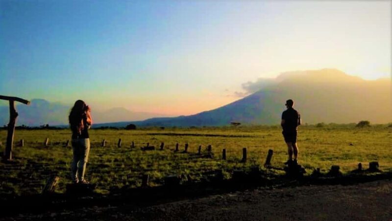 From Banyuwangi ; Baluran National Park & Snorkeling - An In-Depth Look at the Tour Experience