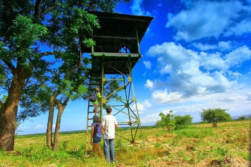 From Banyuwangi: Baluran Wildlife Safari Sunset Tour - The Drive and First Stop: The Evergreen Forest and Savanna