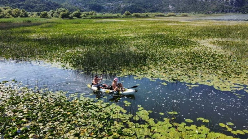 From Bar: Skadar Lake Land and Boat Tour - Introduction: An Authentic Look at Skadar Lake Tour