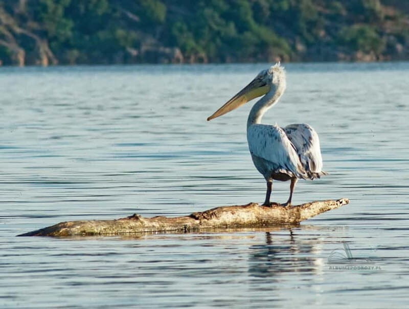 From Bar: Skadar Lake Land and Boat Tour - Key Points