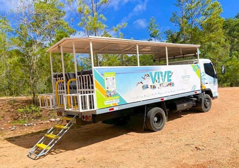 From Barahona: Guided Full-day Tour to Bahía de las Águilas - An In-Depth Look at the Tour