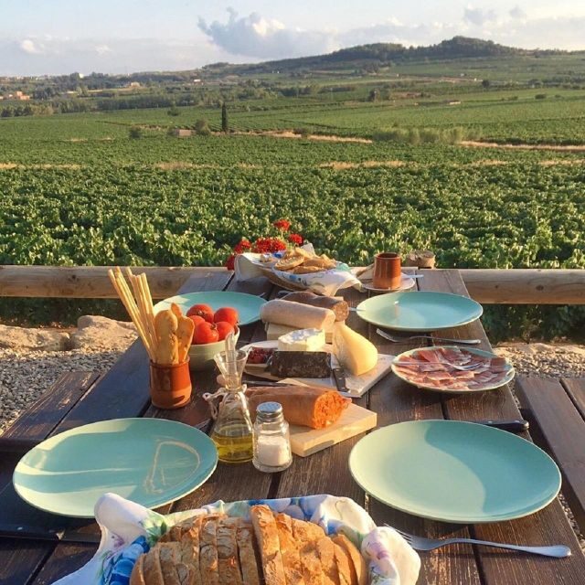 From Barcelona: 3 wineries with hotel pick-up and Lunch - Transportation, Group Size, and Practicalities