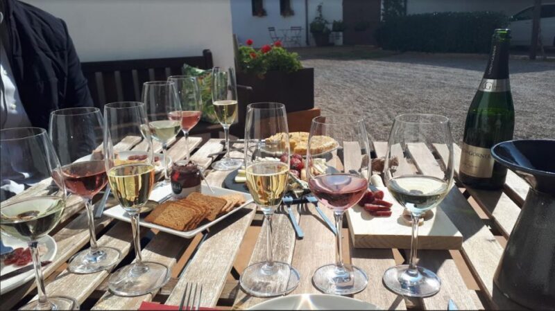 From Barcelona: 3 wineries with hotel pick-up and Lunch - The Sum Up: Who Will Find This Tour Most Valuable?
