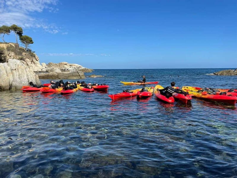 From Barcelona: Costa Brava Kayak & Snorkel Tour with Picnic - Authentic Trip Tips Based on Reviews