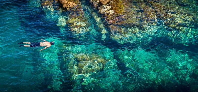 From Barcelona: Costa Brava Private Tour with Lunch - FAQ