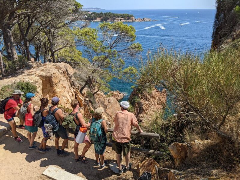 From Barcelona: Costa Brava Trails, Snorkeling & Cliff Jump - Water Breaks and Snorkeling Spots