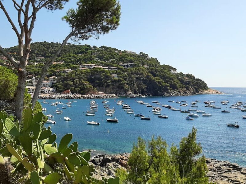 From Barcelona: Costa Brava Typical Towns full day tour - FAQs