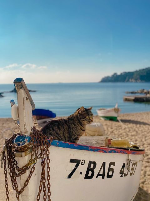 From Barcelona: Day Trip to France with Girona Visit - FAQ
