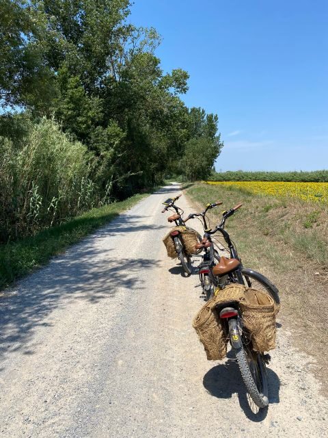 From Barcelona : E-Bike across Girona Province & Costa Brava - Practical Tips for Travelers