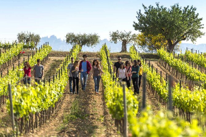 From Barcelona: El Penedès Hike & Wines - An Authentic Day in El Penedès: Hike & Wines from Barcelona